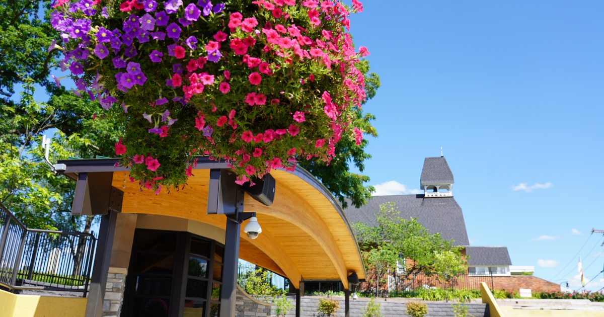 5 Spring Activities in the Brighton Howell Area | Explore Brighton ...