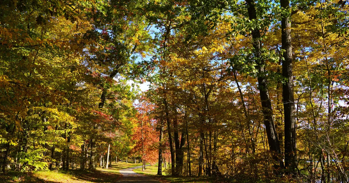 Your Cozy Fall Getaway to the Brighton Howell Area | Explore Brighton ...