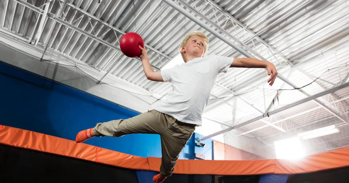 Airborne Adventure Park | Explore Brighton Howell Area
