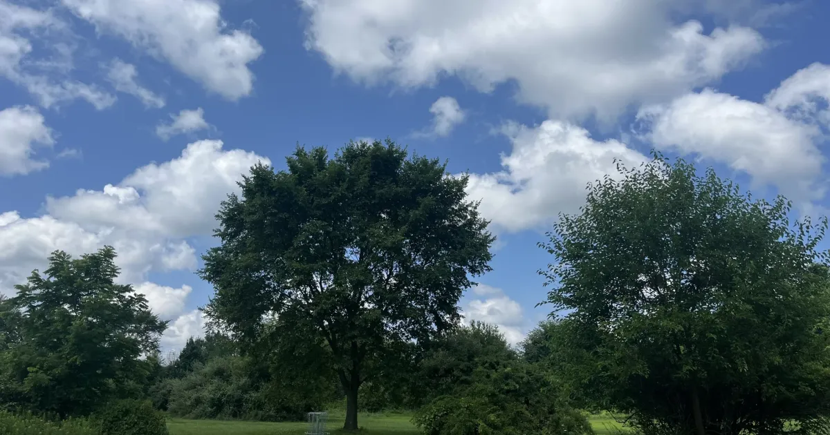 Whitmore Lake Community Park Disc Golf | Explore Brighton Howell Area