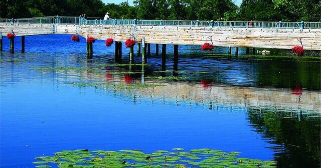 The AMP! at Brighton Mill Pond | Explore Brighton Howell Area